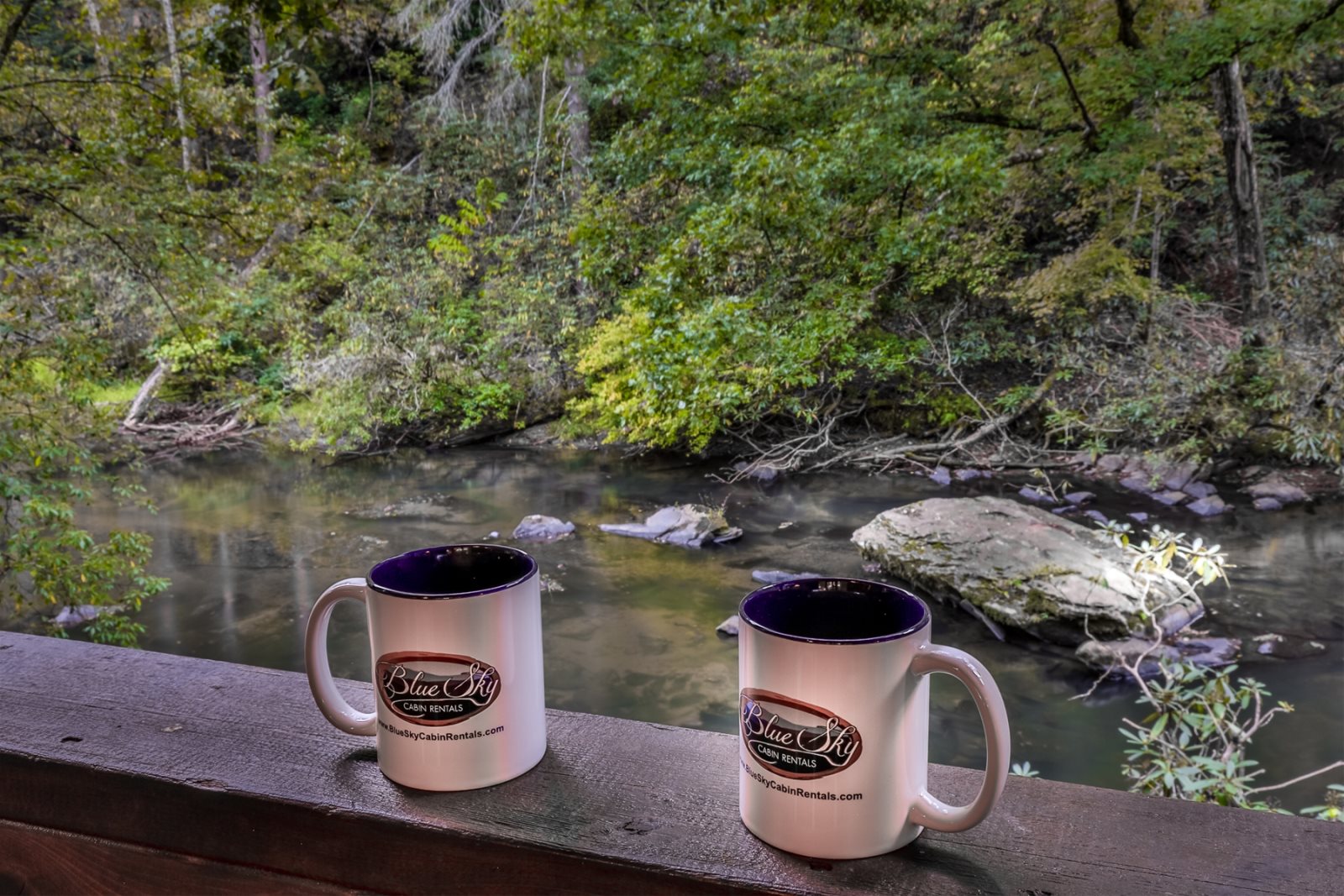 Blue Sky Cabin Rentals: River Run