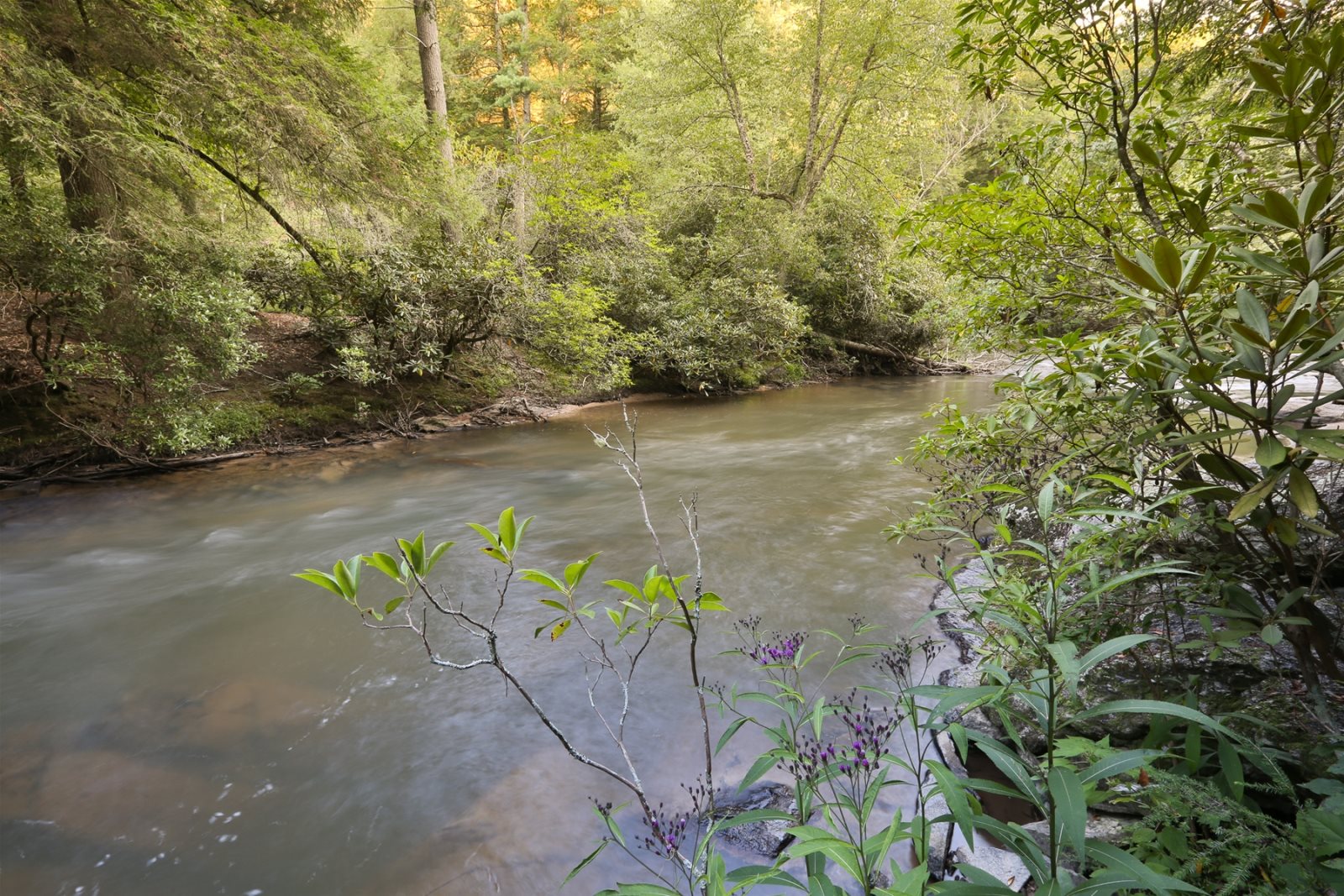 Blue Sky Cabin Rentals: Romance On The Cartecay River
