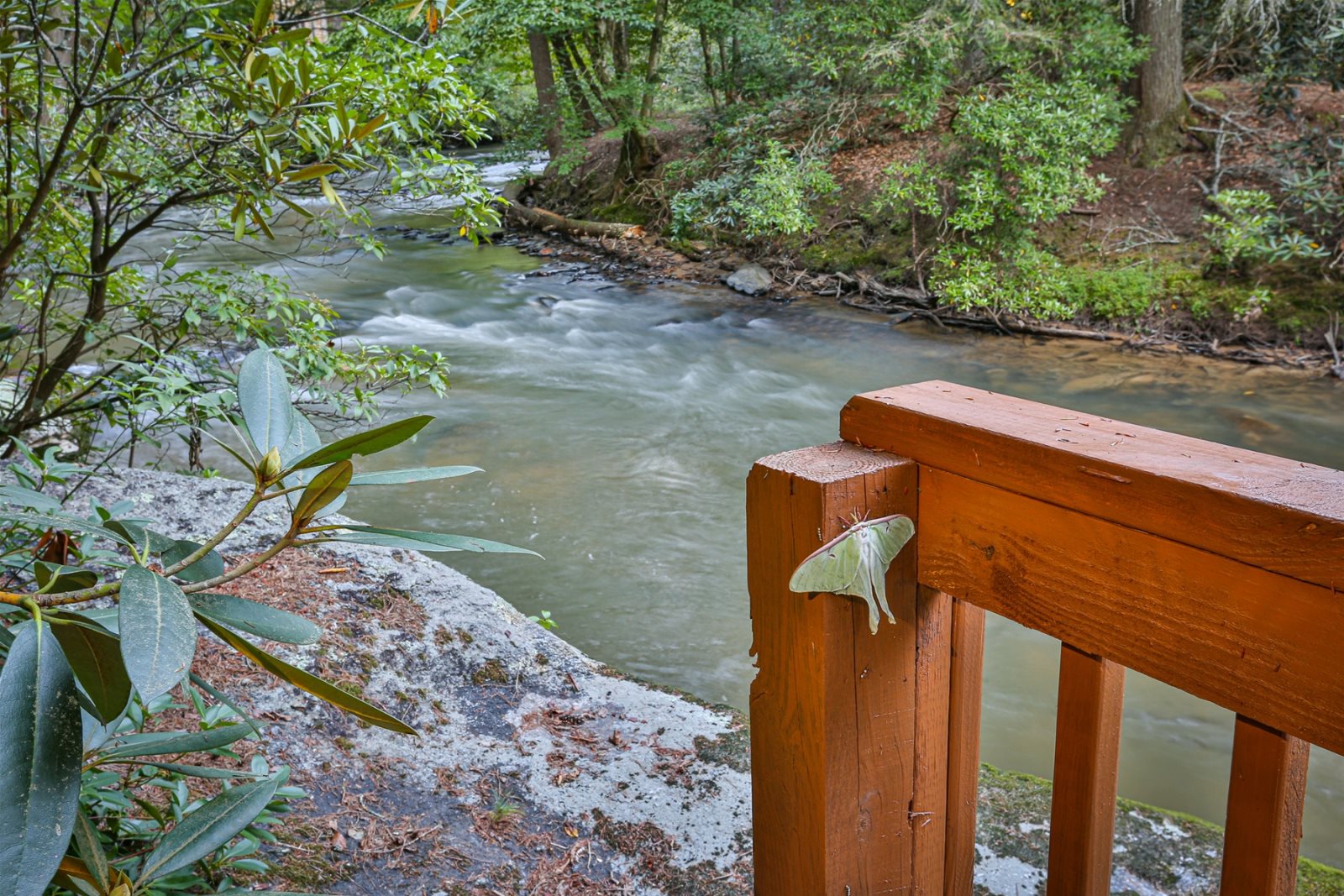 Blue Sky Cabin Rentals: Romance On The Cartecay River