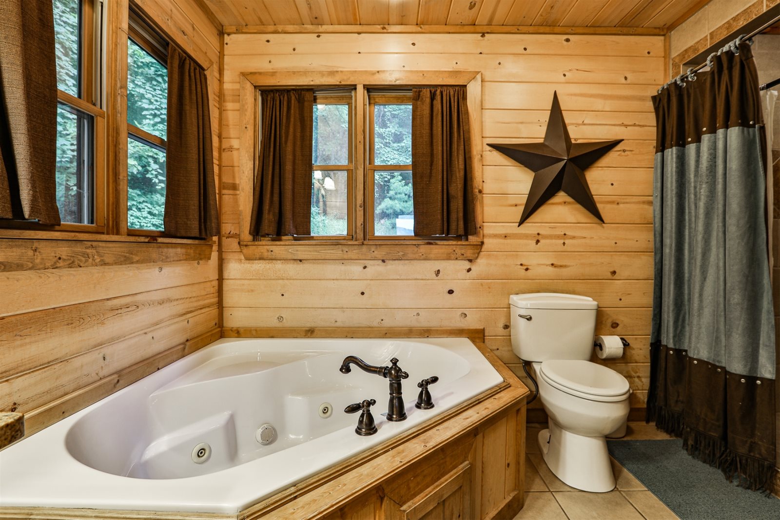 Blue Sky Cabin Rentals: Blue Ridge Bliss