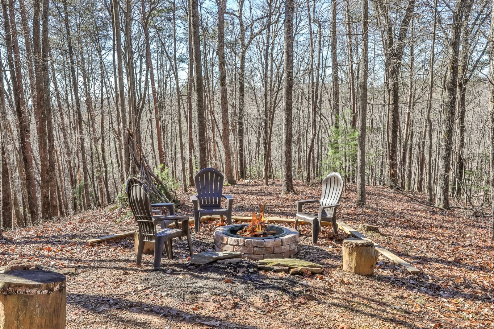 Blue Sky Cabin Rentals: Whiskey Ridge