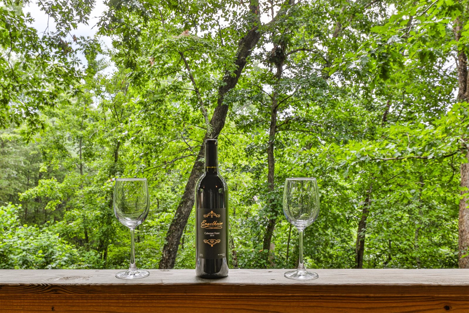 Blue Sky Cabin Rentals- Byrdhouse On Lake Blue Ridge