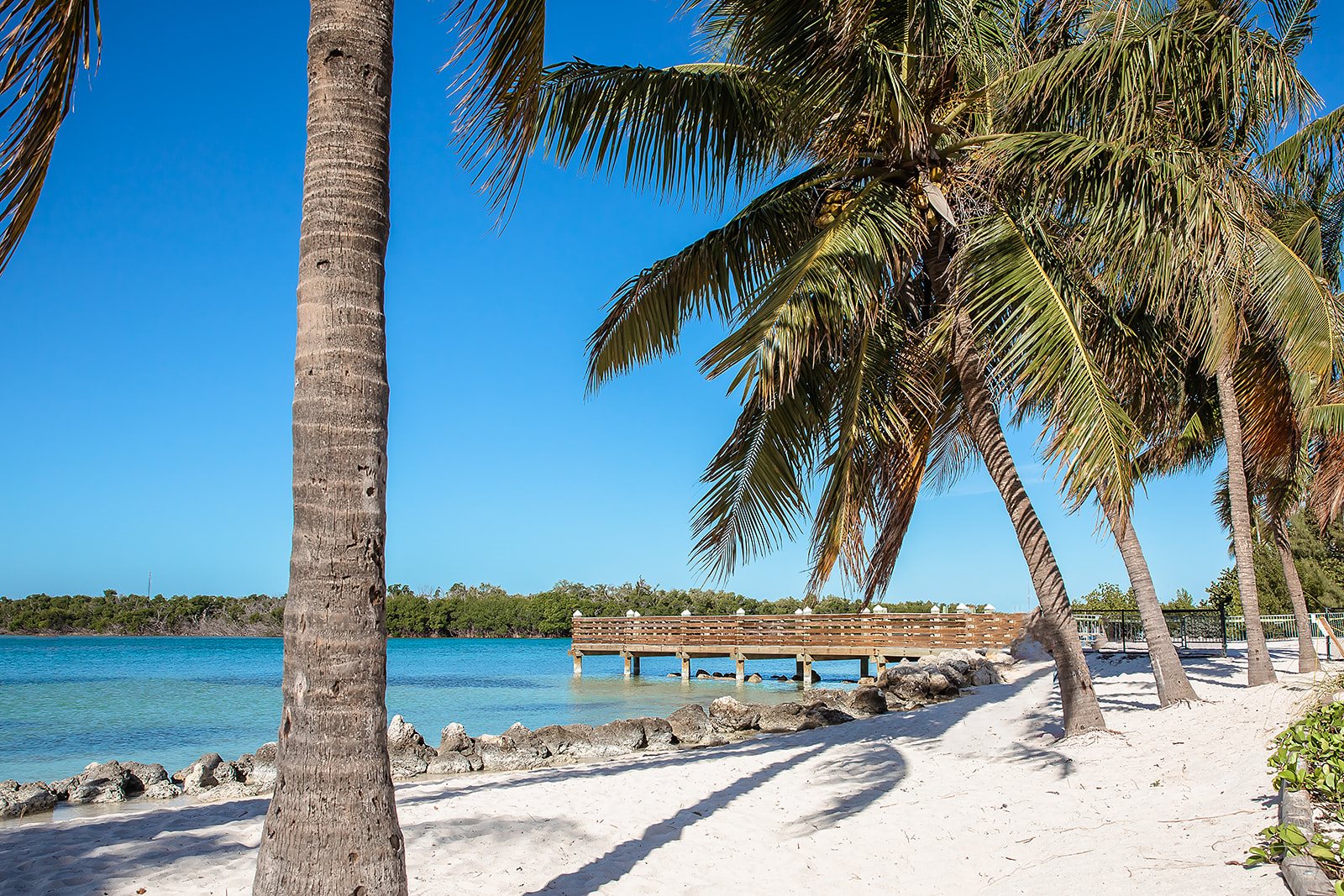 Tipsy Turtle | Sombrero Beach Vacation Rental with Private Pool & Dock
