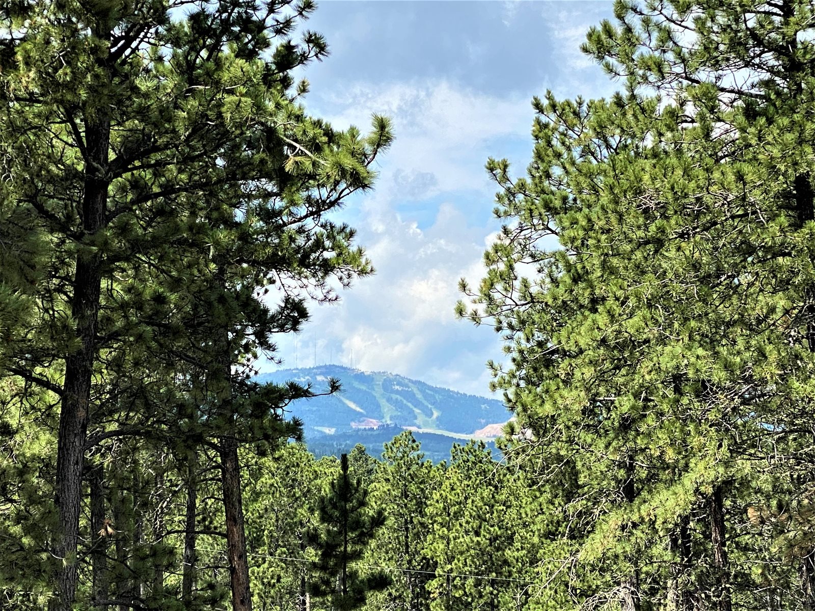 Vacation Home Renter Inc - Vacation Rentals