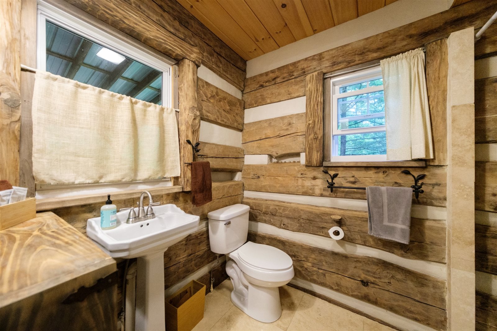 Barred Owl Log Cabin