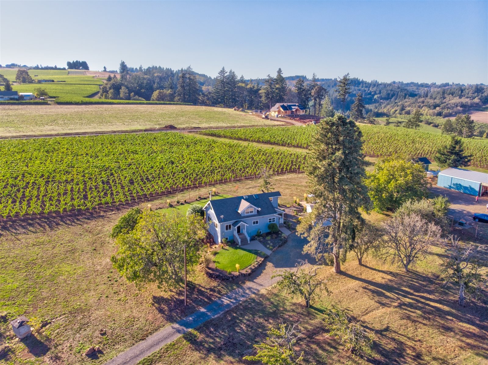Fully Restored 3 bedroom, 3 bath Luxurious Farmhouse surrounded by vines!