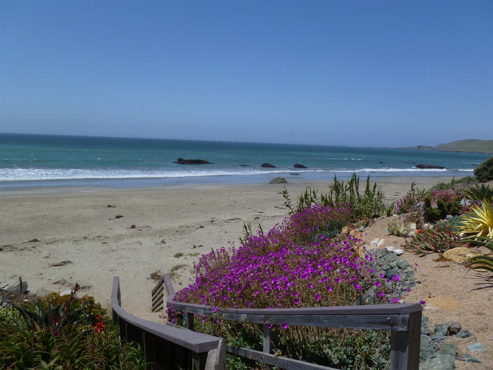 See Lyon Beach Rentals | Paula's Beach House