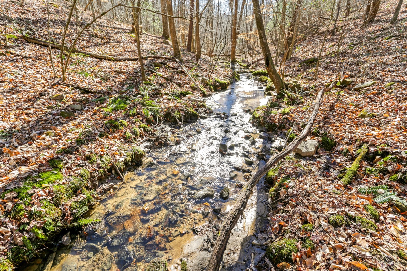CREEKSIDE HIDEAWAY Luxury Cabin Rental | Above The Rest. West Facing ...